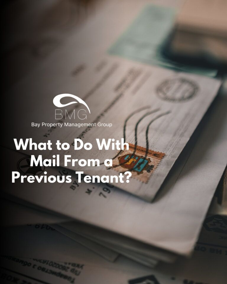 What Rights Do Tenants Have Without a Lease in Texas: 6 Ones